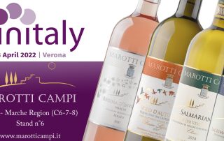 Home - Marotti Campi