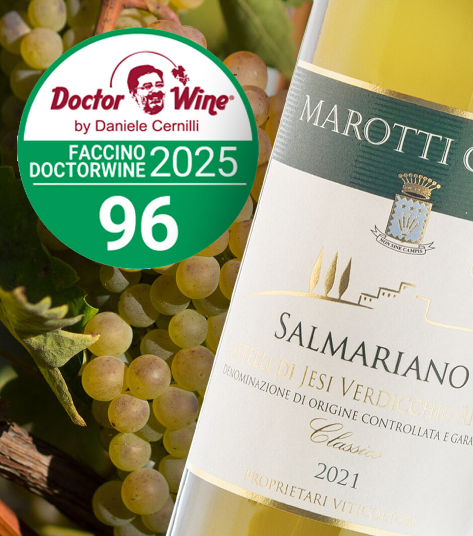 Home - Marotti Campi